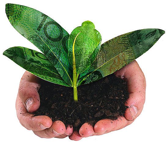 How Green is Our Money? Mapping the Relationship between Monetary ...